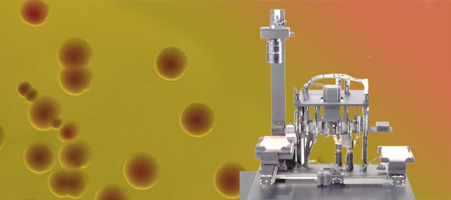 Benefits of an Automated Colony Counter - Hudson