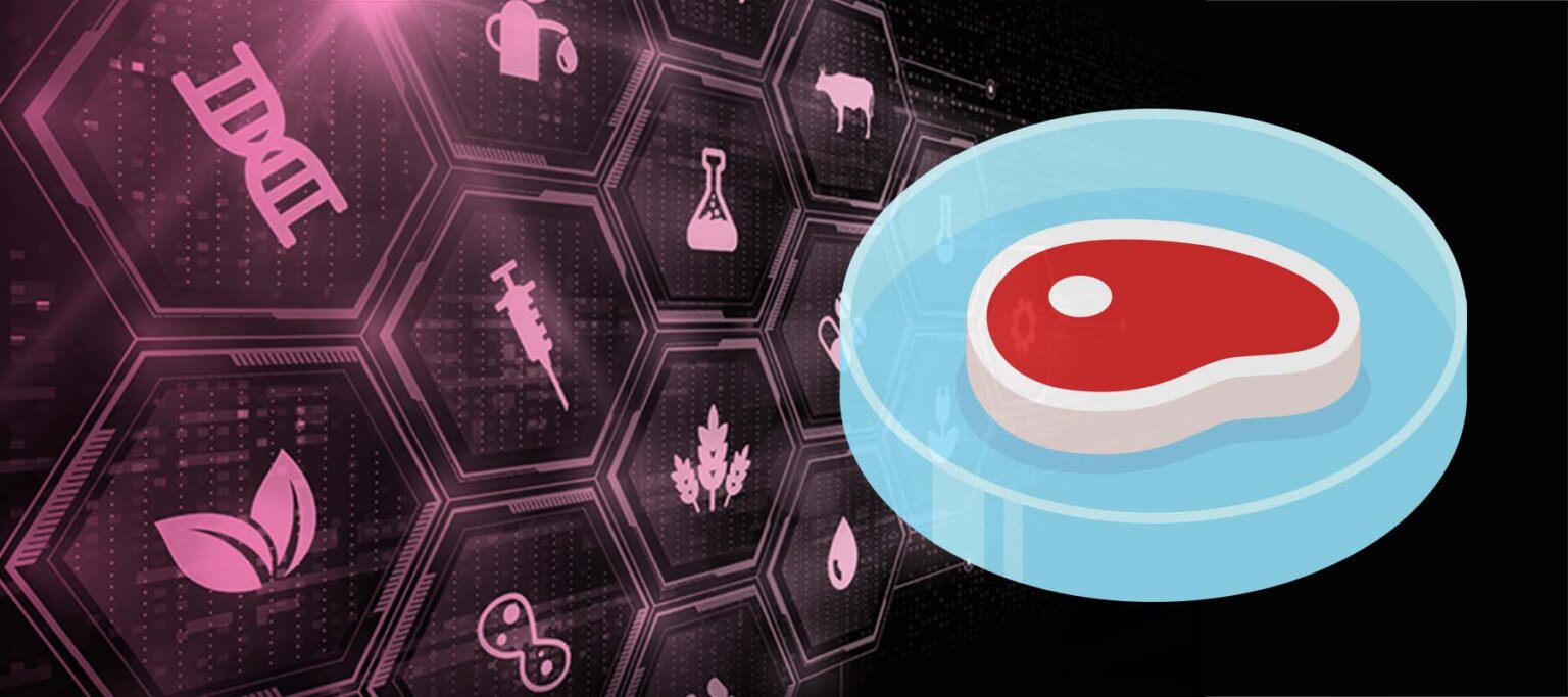 How Lab-Grown Meat is Made: A Concise Guide - Hudson