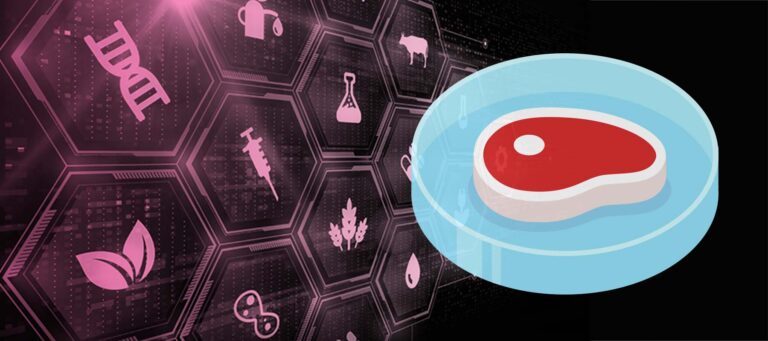 How Lab-Grown Meat is Made: A Concise Guide - Hudson