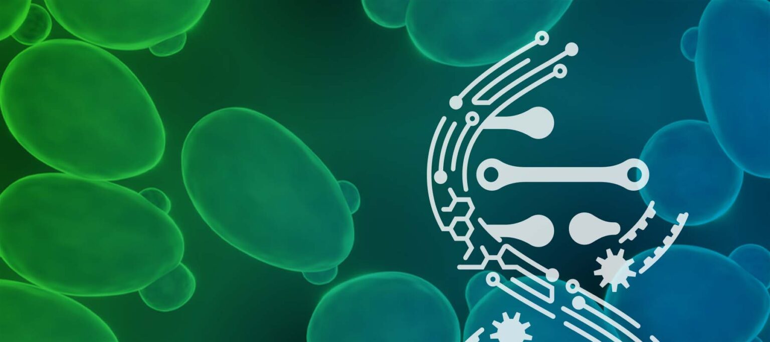 Engineering Yeast Via Synthetic Biology - Hudson