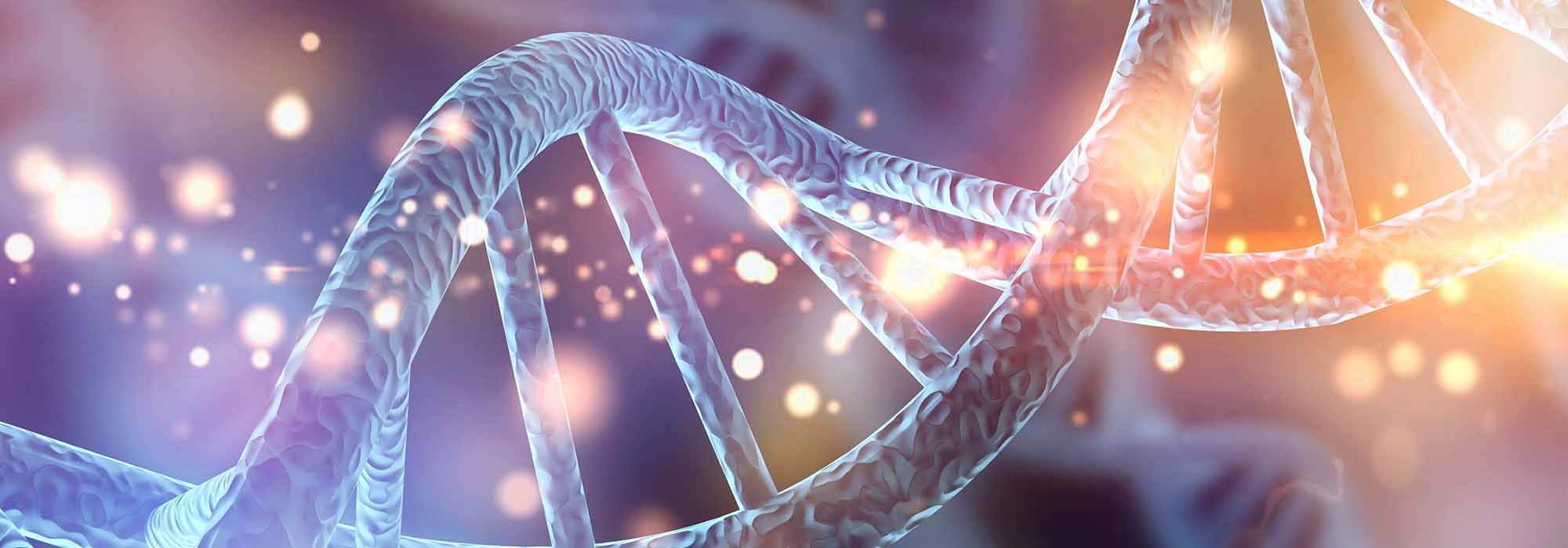 DNA Transformation - Hudson